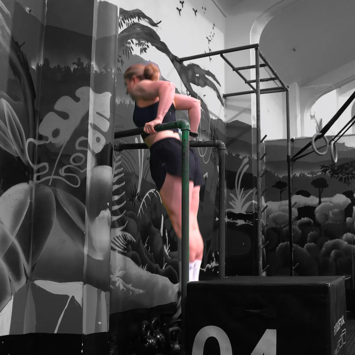 Calisthenics Push Pull Legs FREE Workout Program - Calisthenics Beginners